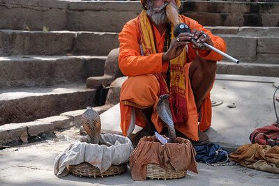 Instruments and music of the Indian snake charmers: journey across a ...